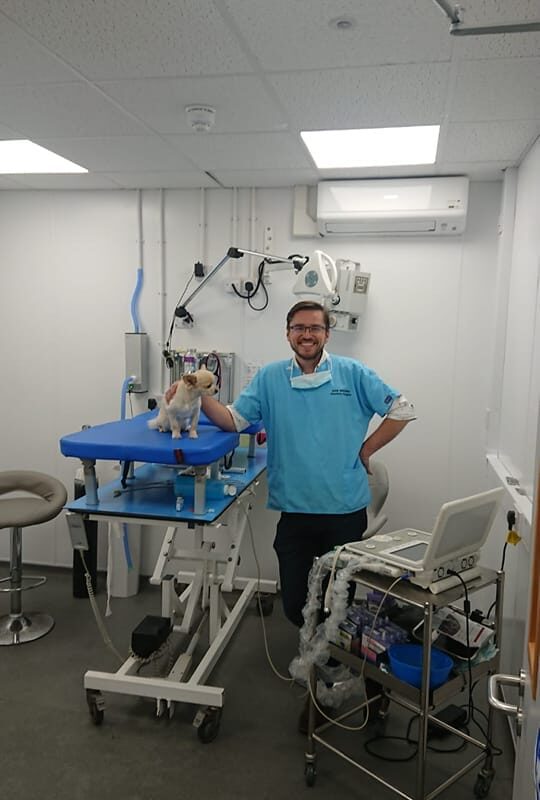 Mojo Vets | Independent Veterinary Clinic | Hastings | East Sussex